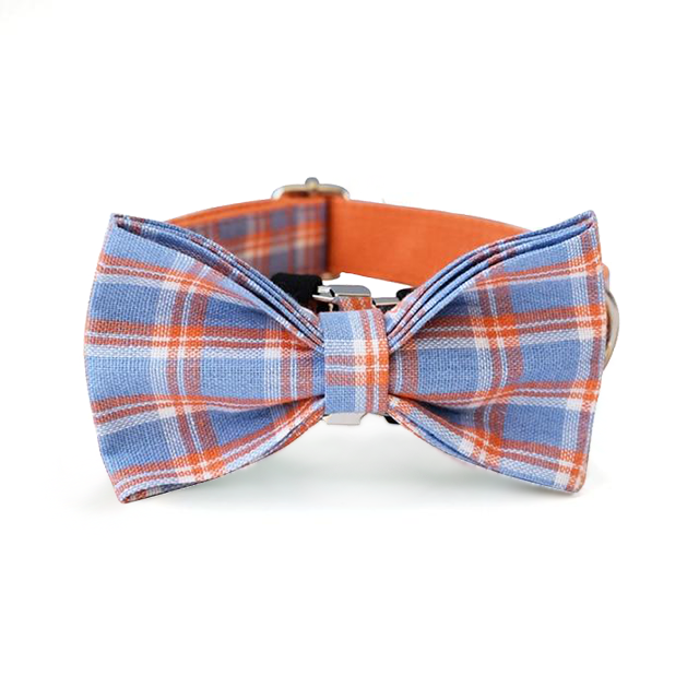 Personalized Archie Collar – Pup Unleashed