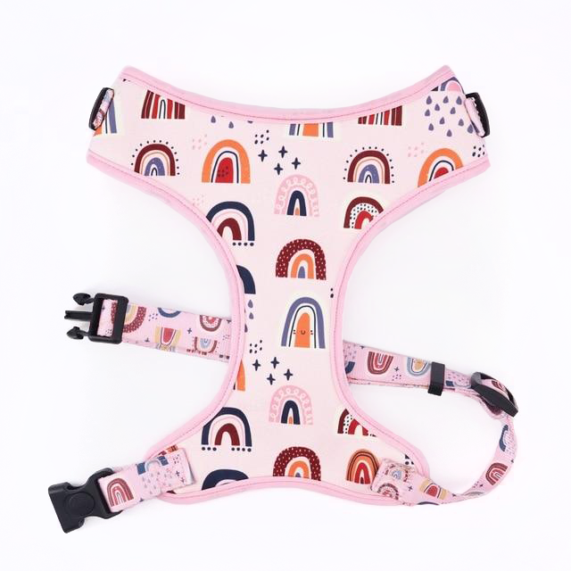 Retro Rainbow Harness – Pup Unleashed