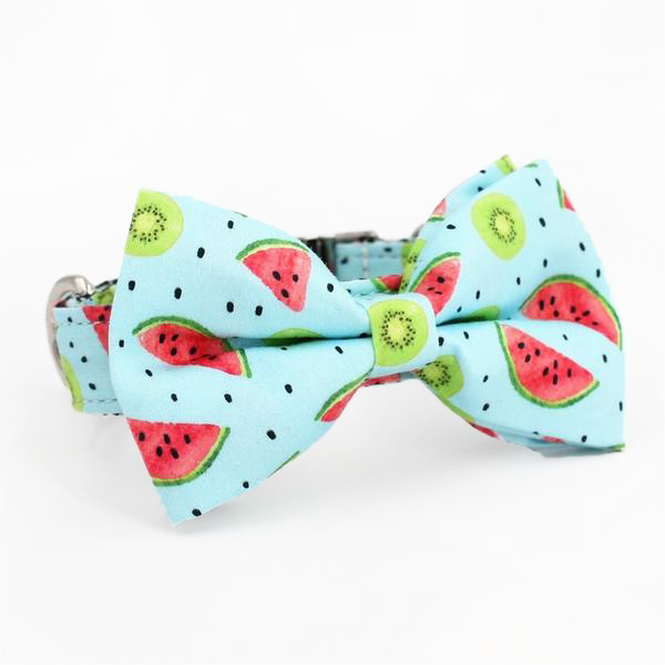 Fruit Salad Collar – Pup Unleashed