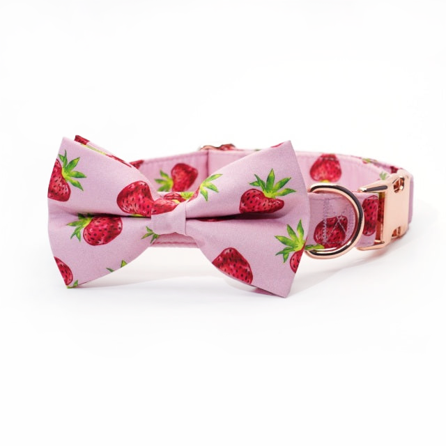 Strawberry Shortcake Collar – Pup Unleashed
